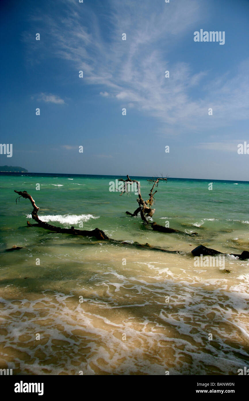 Little nicobar hi-res stock photography and images - Alamy