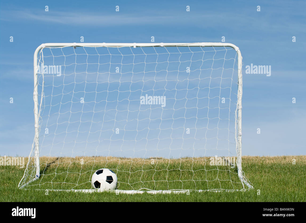 Soccer ball in the goal net Stock Photo - Alamy