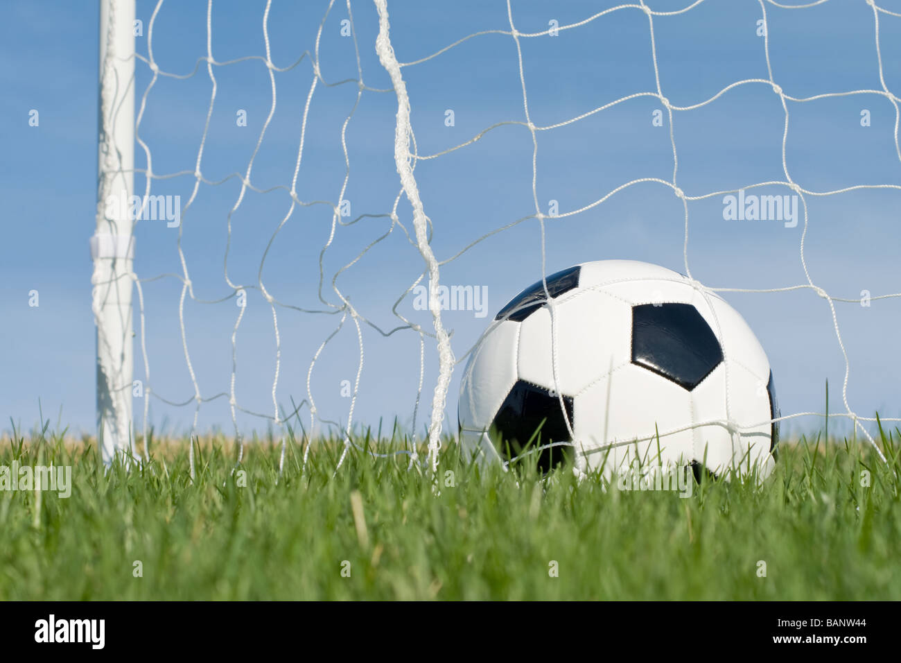 Soccer ball in the goal net Stock Photo - Alamy