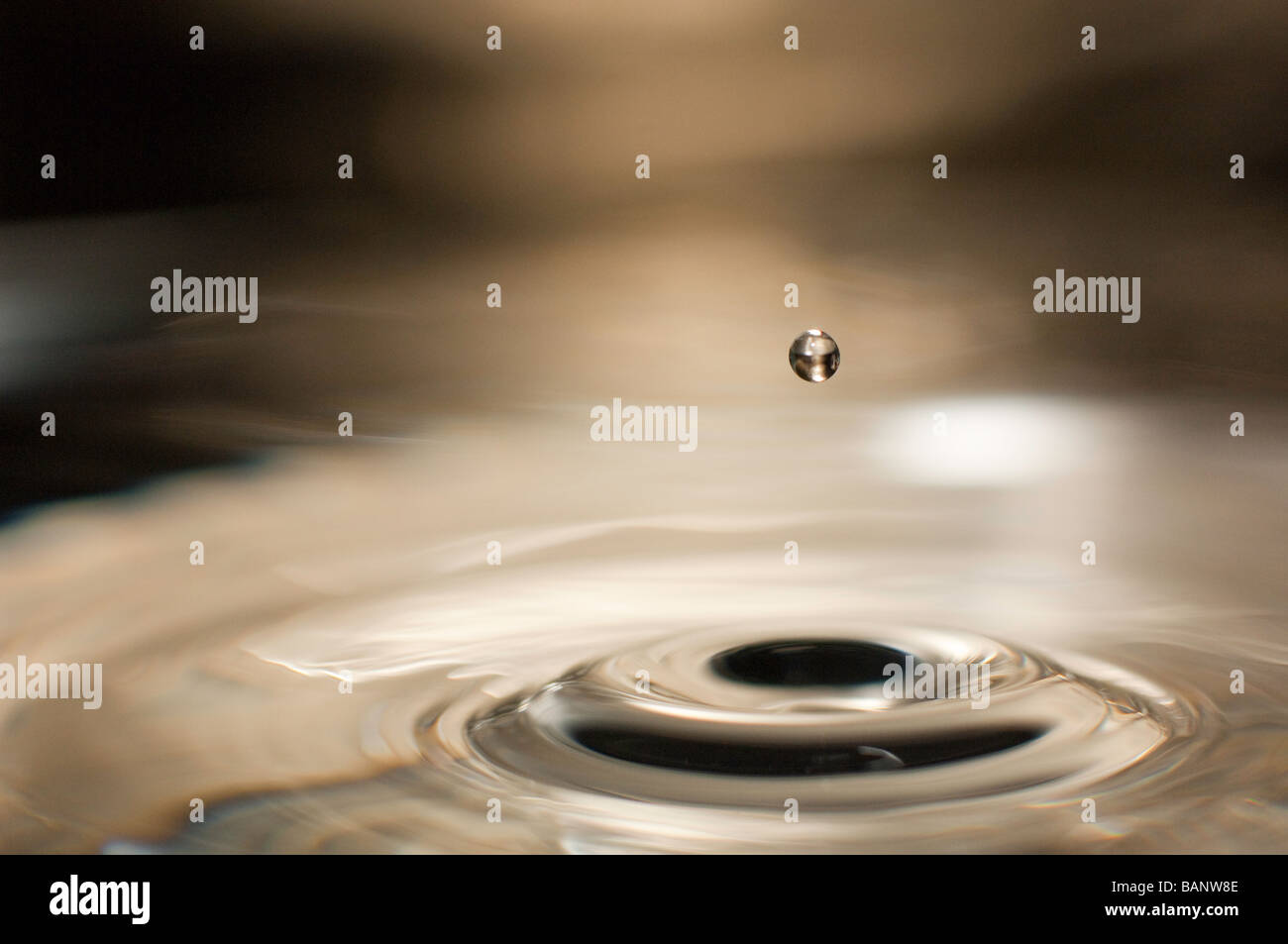 Droplet causing ripples on surface of a pool of water Stock Photo - Alamy