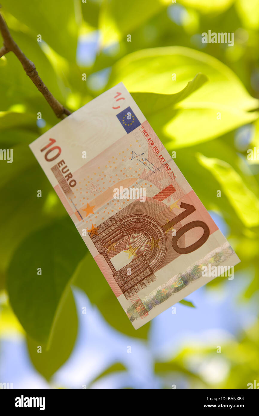 Money growing on trees Stock Photo - Alamy