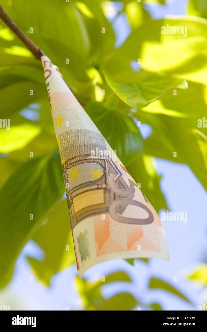 Money growing on trees Stock Photo - Alamy