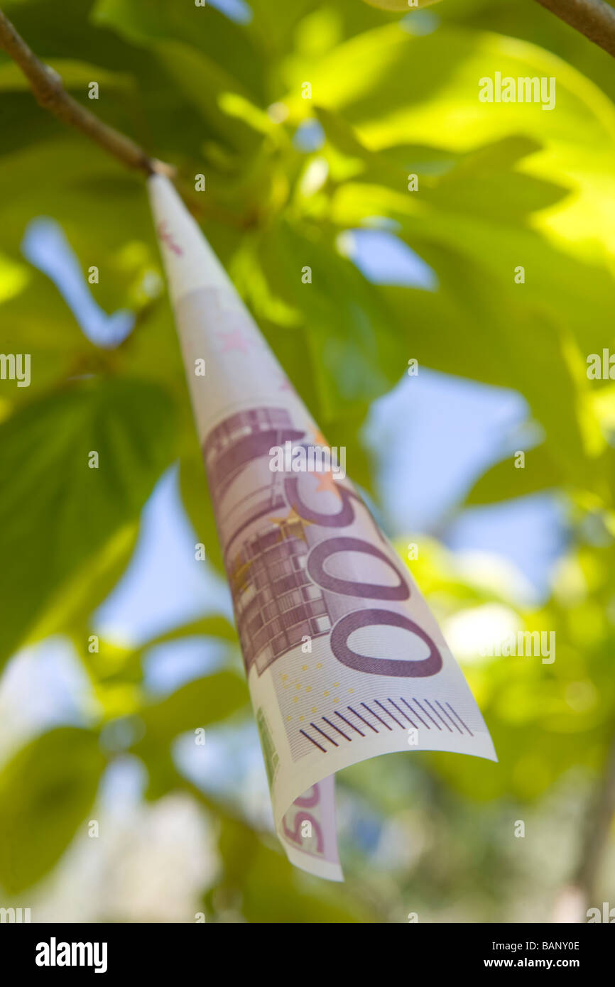 Money growing on trees Stock Photo - Alamy