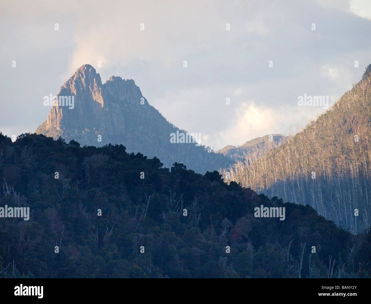 Australian forest mountain hi-res stock photography and images - Alamy