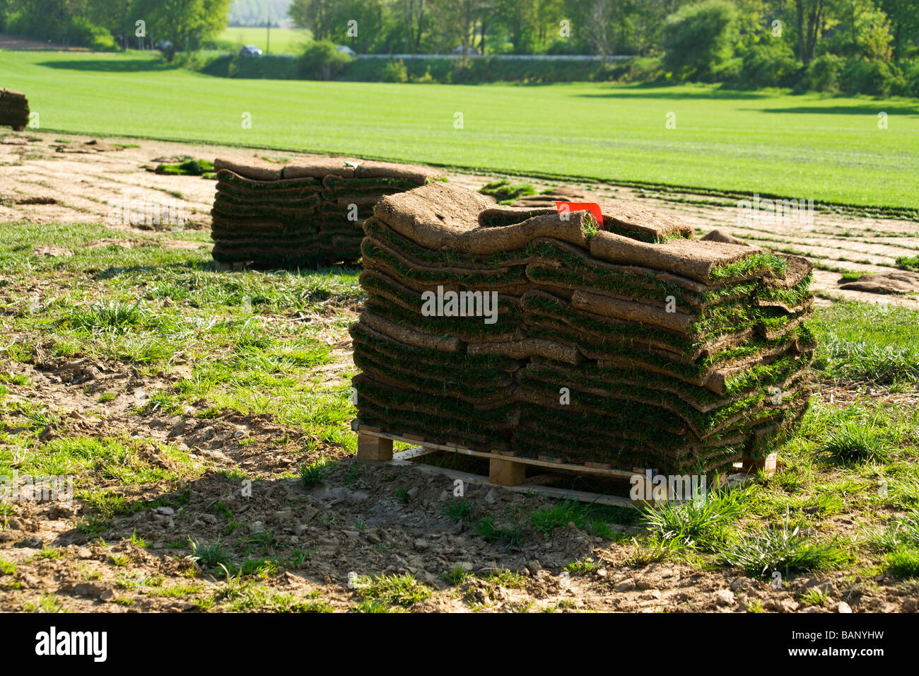 readymade lawn, folded sods on pallet Stock Photo - Alamy