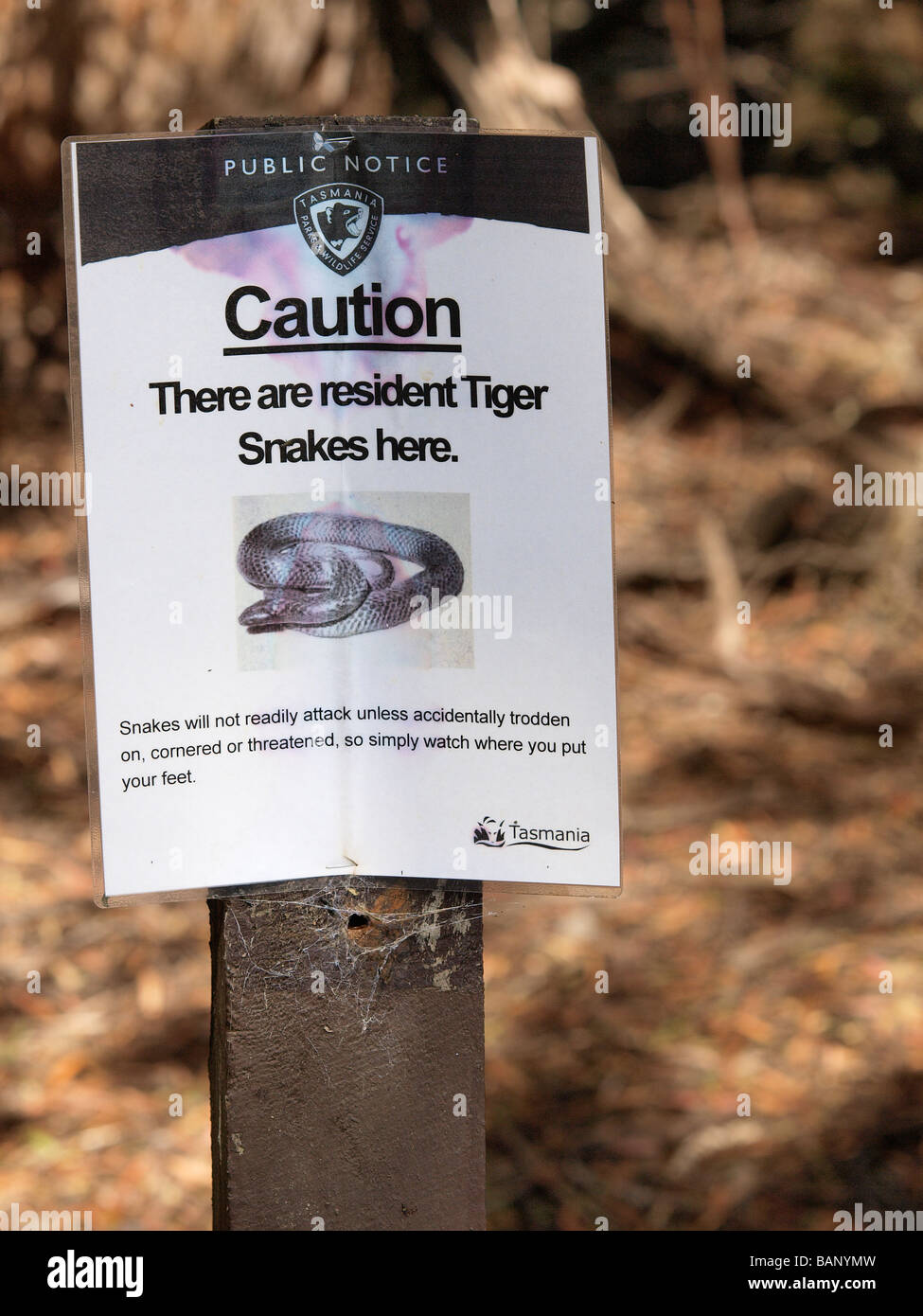 CAUTION SIGN FOR TIGER SNAKES AT TASMANIA [LAKE ST CLAIR] AUSTRALIA ...