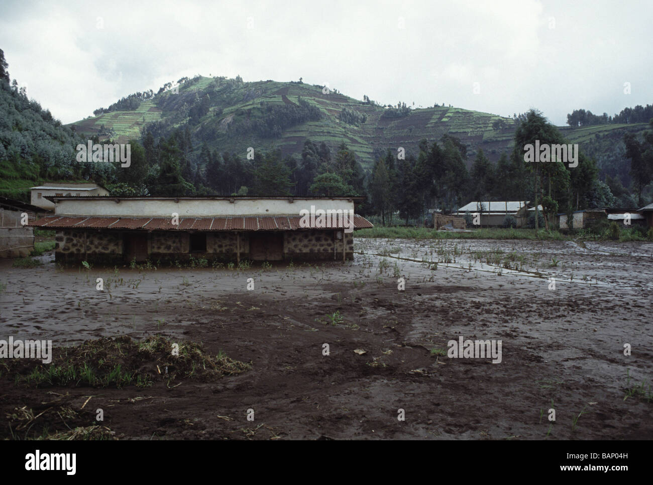 Flooding in the lower slopes created heavy siltation from run off from ...