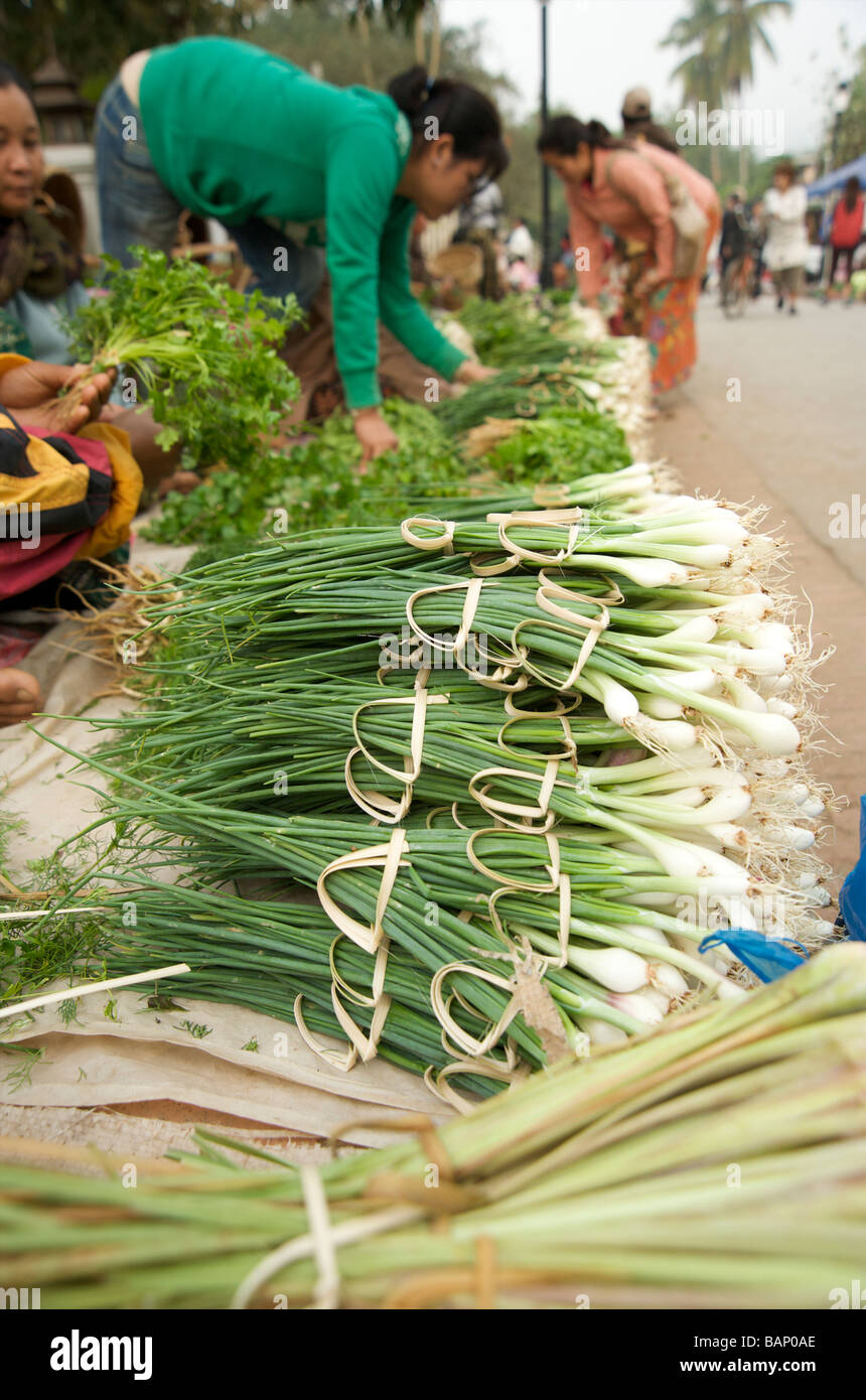 Long spring onions hi-res stock photography and images - Alamy