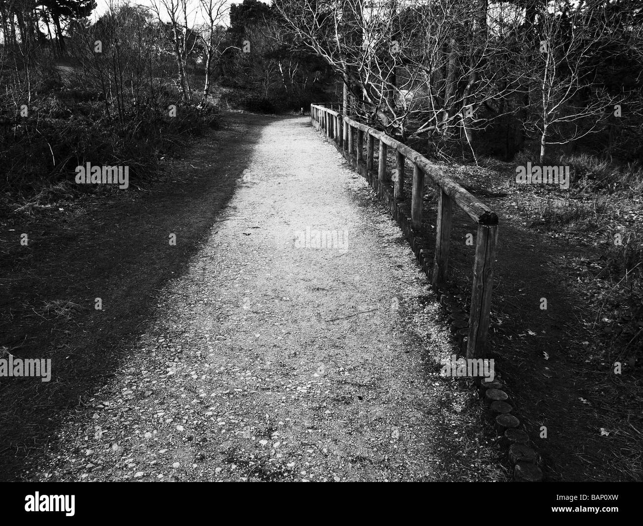 Through vegetation Black and White Stock Photos & Images - Alamy