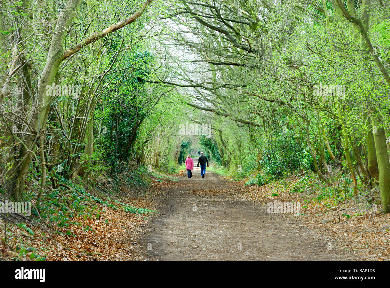 Woman country lane walking hi-res stock photography and images - Alamy