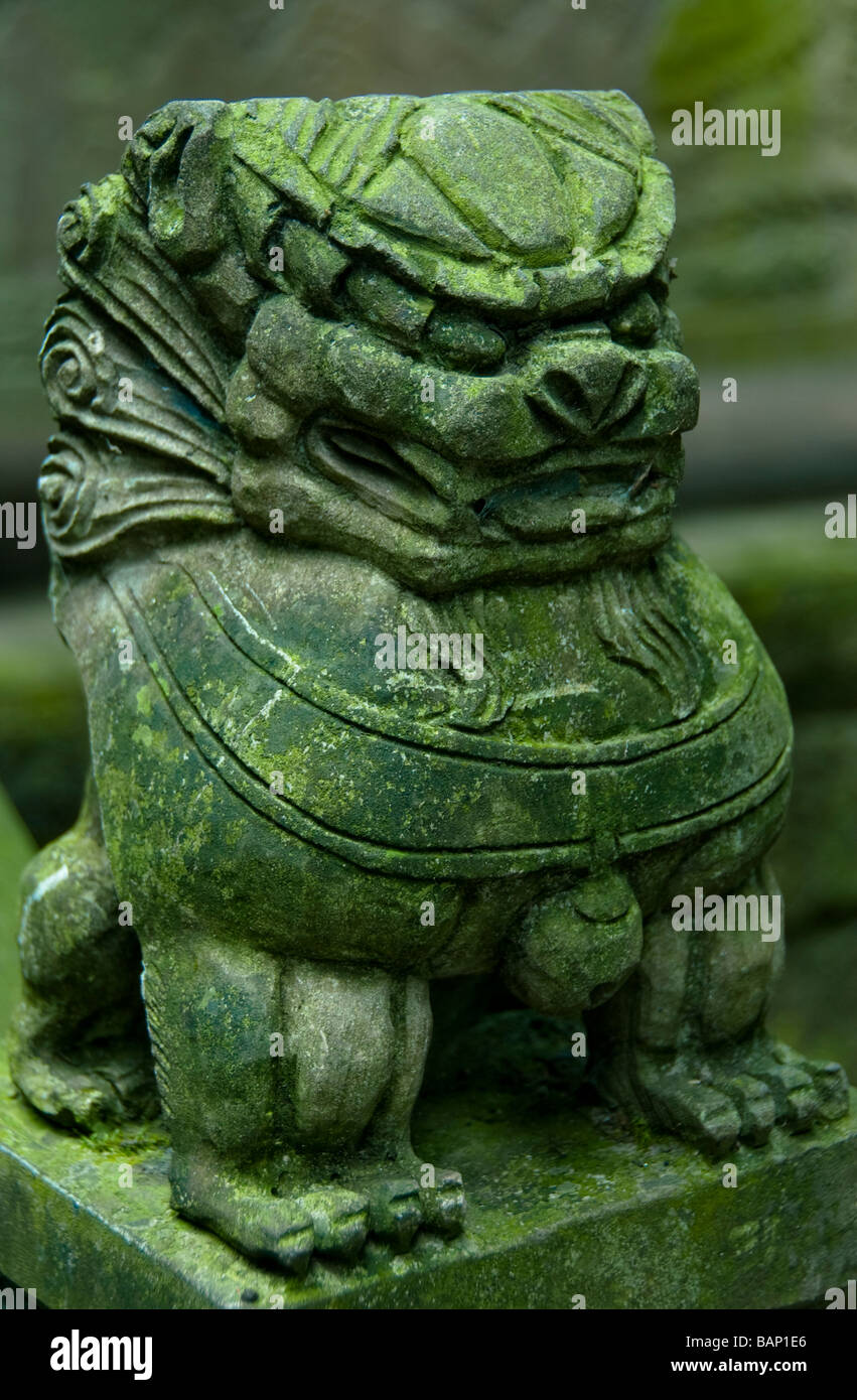 Traditional Chinese Dragon Mount Emei shan national park, Sichuan ...