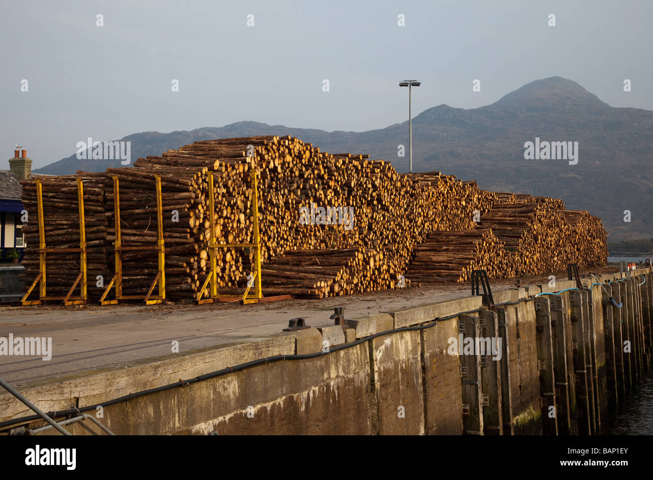 Scottish Tree Logging & Timber Stacked Timber on Quayside at the Kyle ...