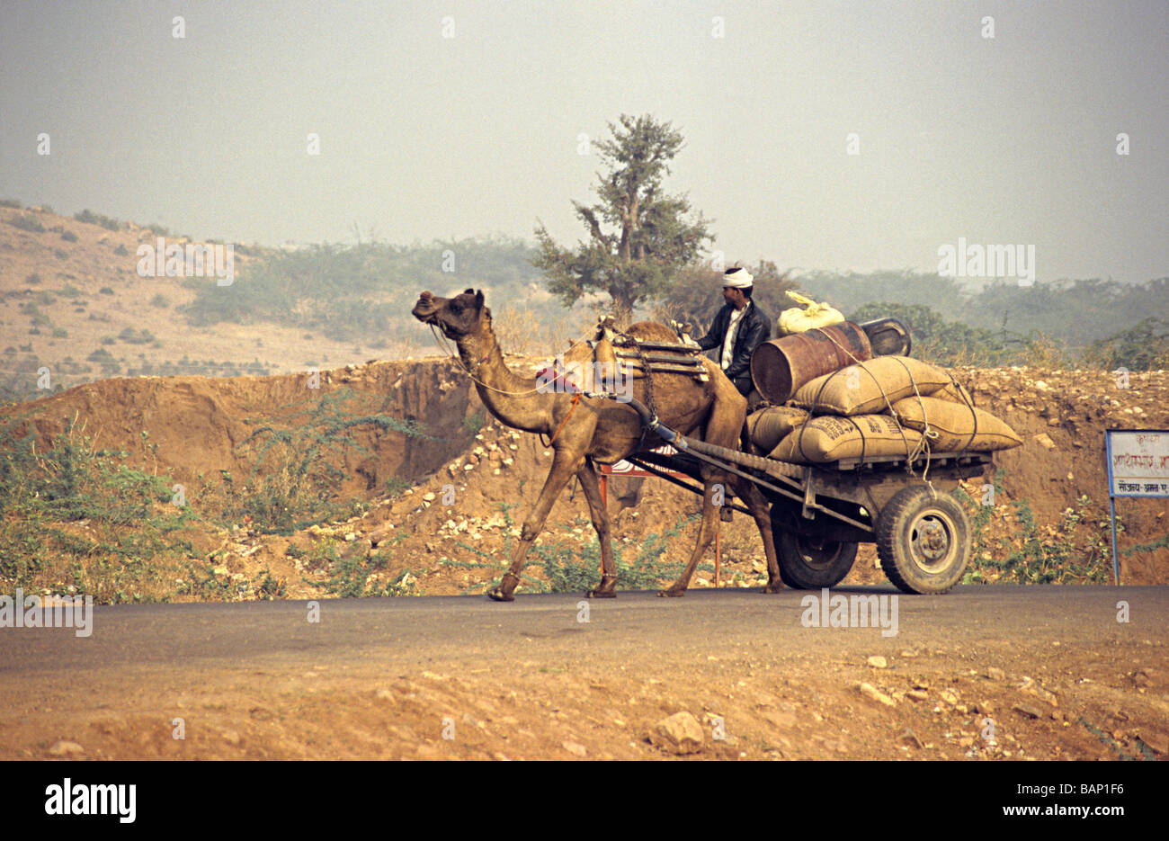 Camel and cart hi-res stock photography and images - Alamy
