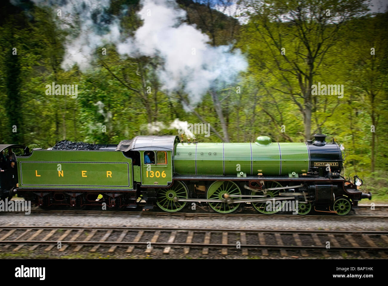 1306 mayflower High Resolution Stock Photography and Images - Alamy