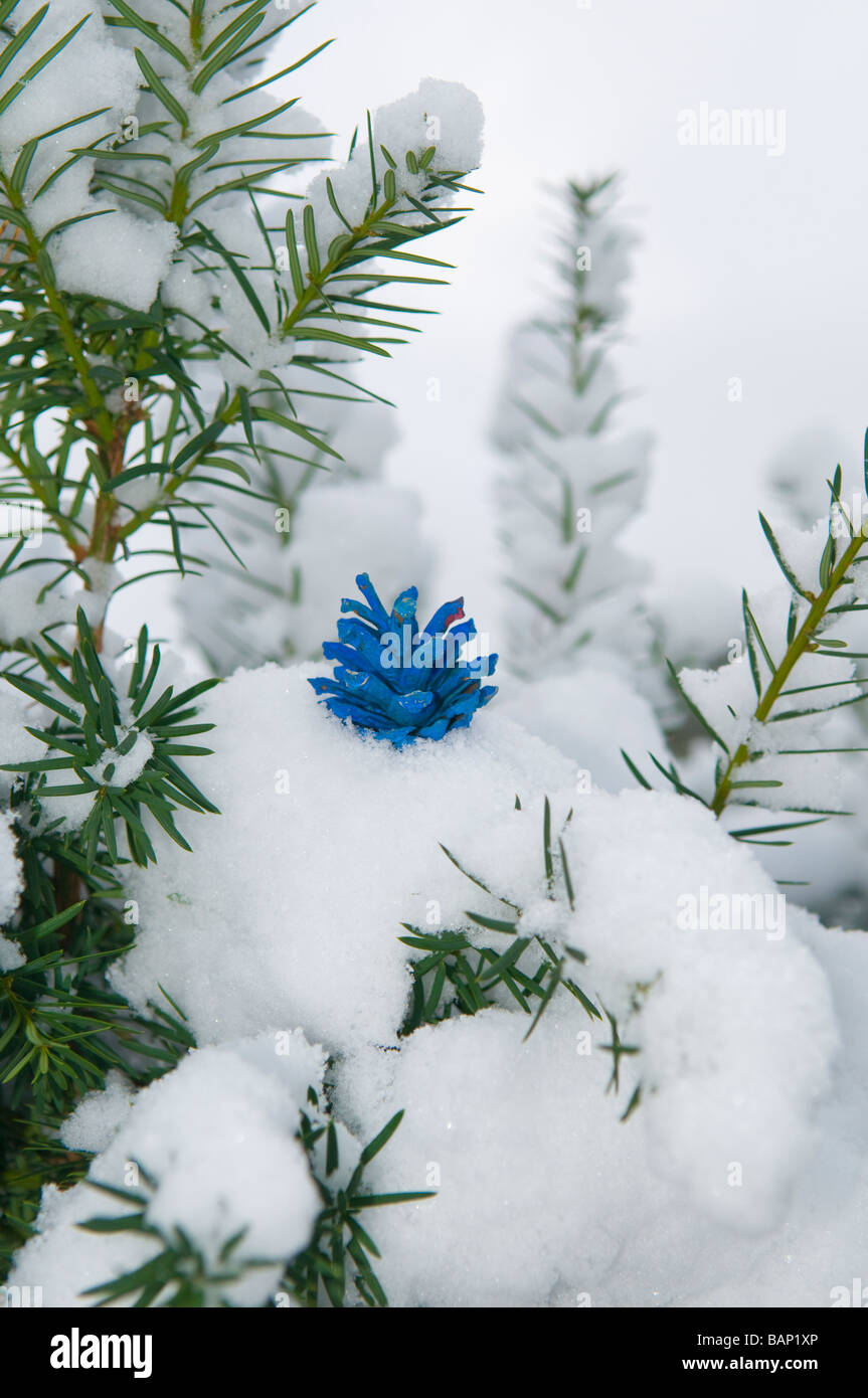 Blue Snow Cone High Resolution Stock Photography and Images - Alamy