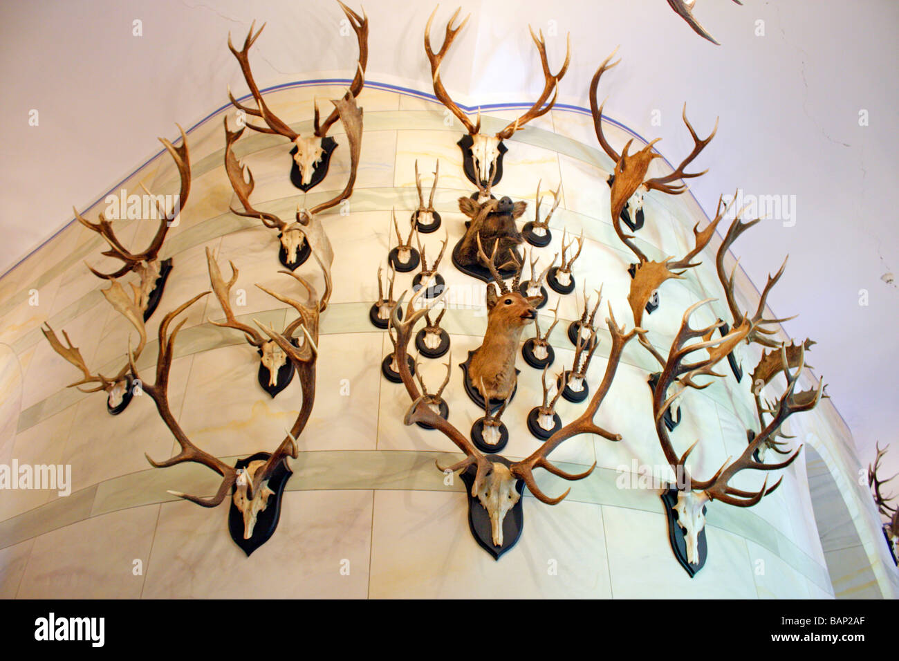 hunting trophies at Granitz Castle, Ruegen Island, Mecklenburg Western ...