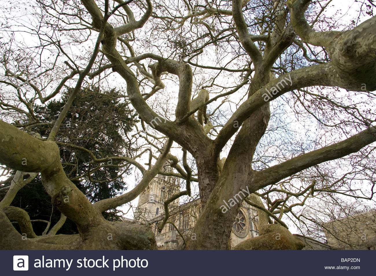 The Poem Jabberwocky High Resolution Stock Photography and Images - Alamy