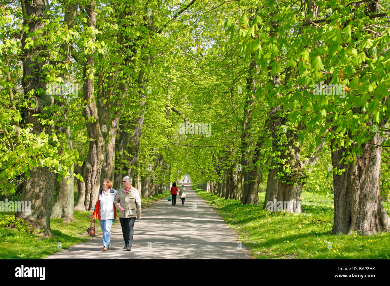 Schlosspark putbus hi-res stock photography and images - Alamy