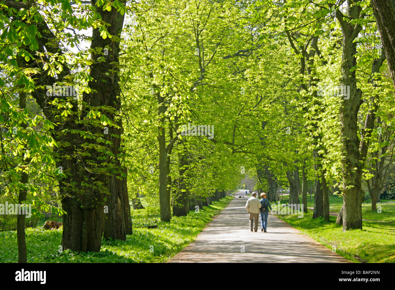 Schlosspark putbus hi-res stock photography and images - Alamy