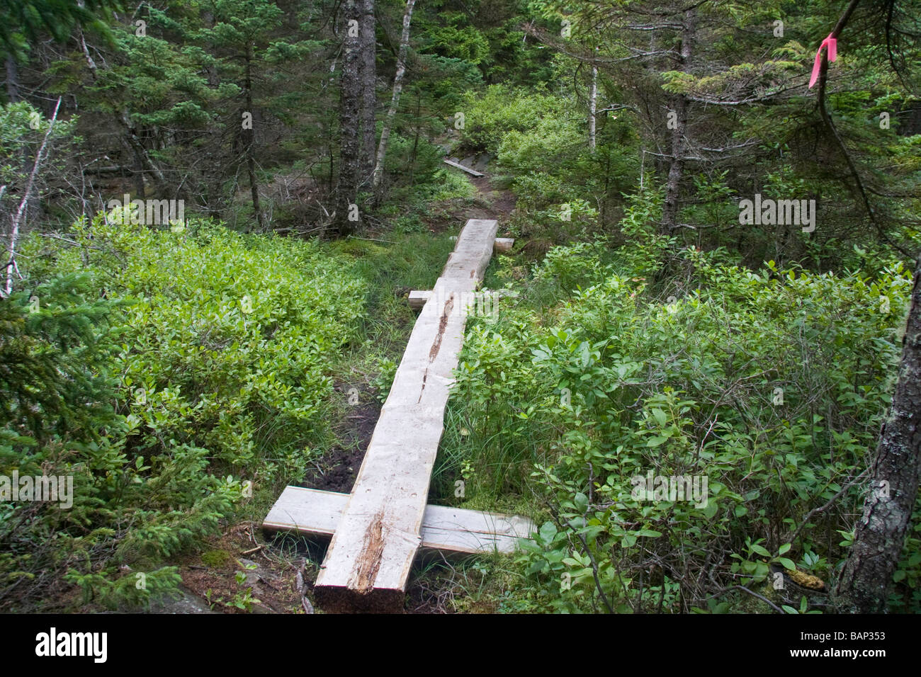 Split Log Foot Bridge Stock Photo - Alamy