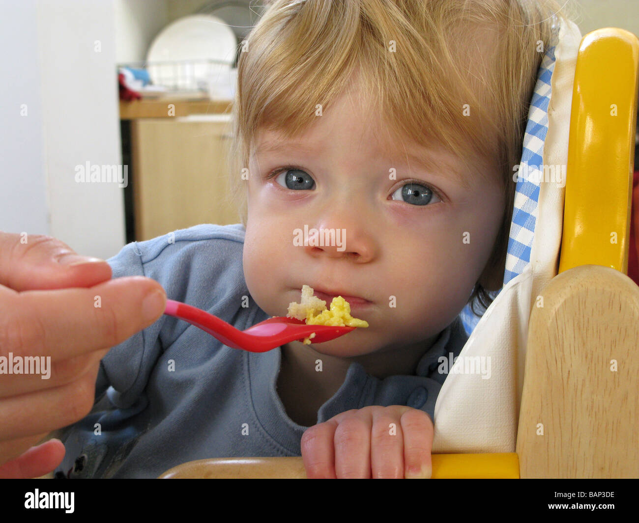 One year old child eating scrambled egg Stock Photo - Alamy