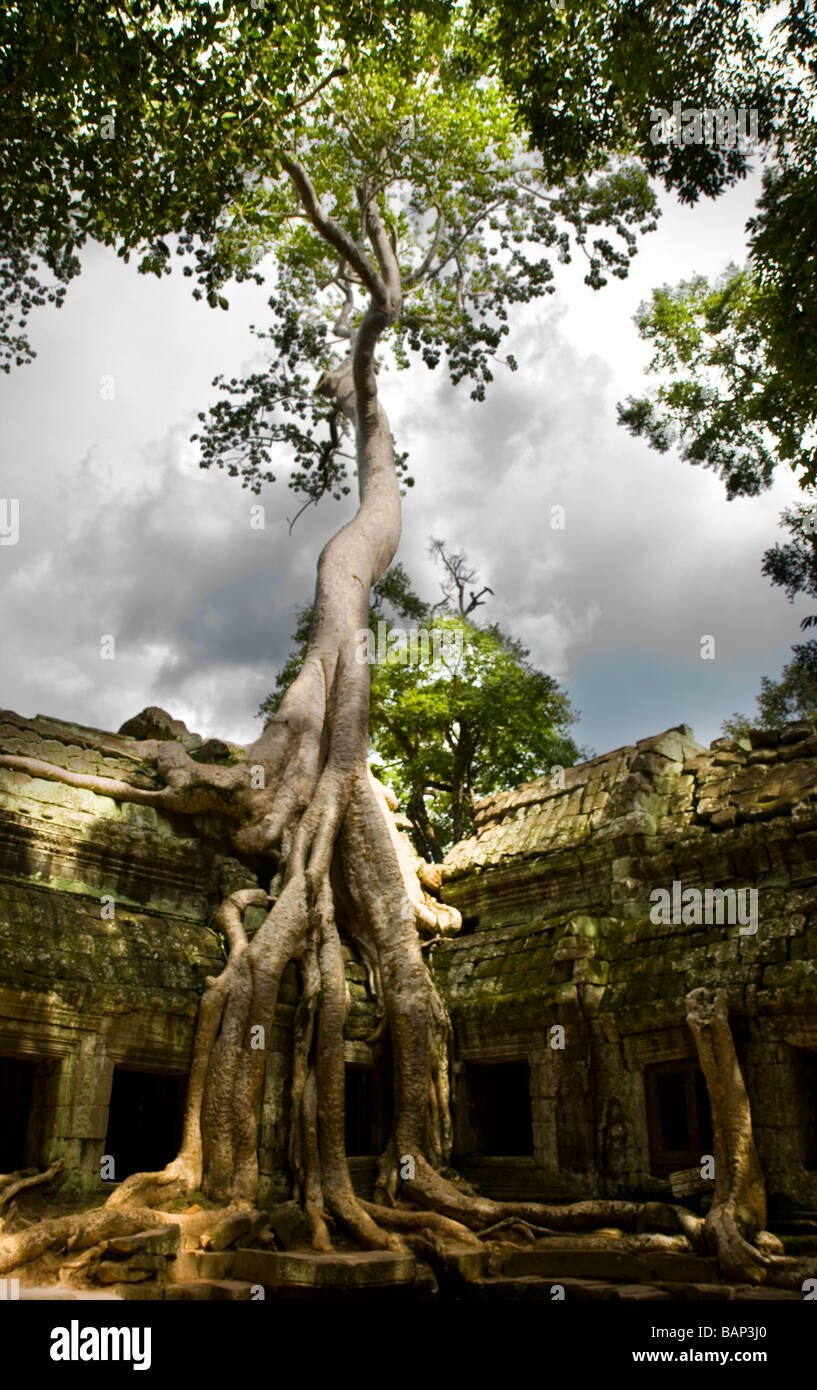 Tomb raider set hi-res stock photography and images - Alamy