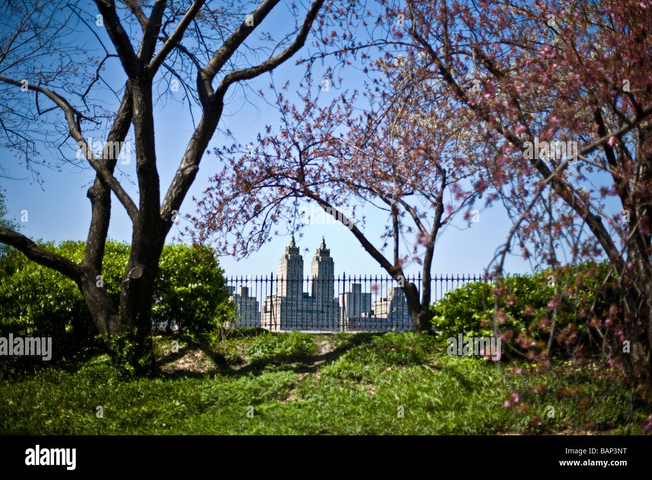 Central park spring hi-res stock photography and images - Alamy