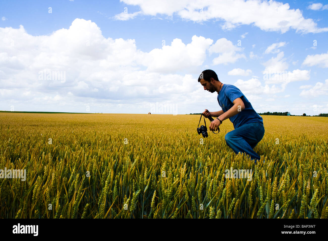 Photographer in a Corn Field Stock Photo - Alamy