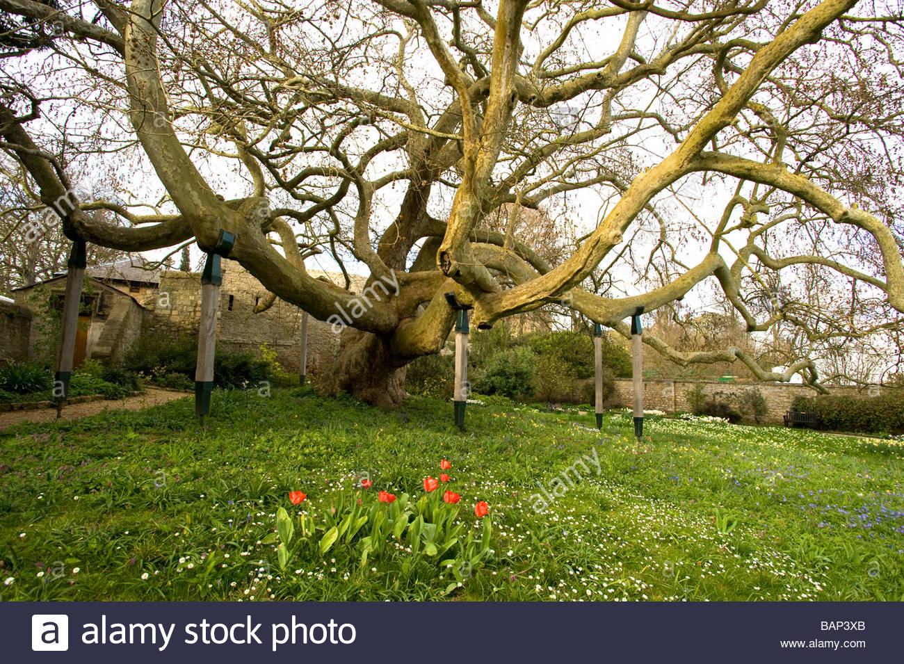 The Poem Jabberwocky High Resolution Stock Photography and Images - Alamy