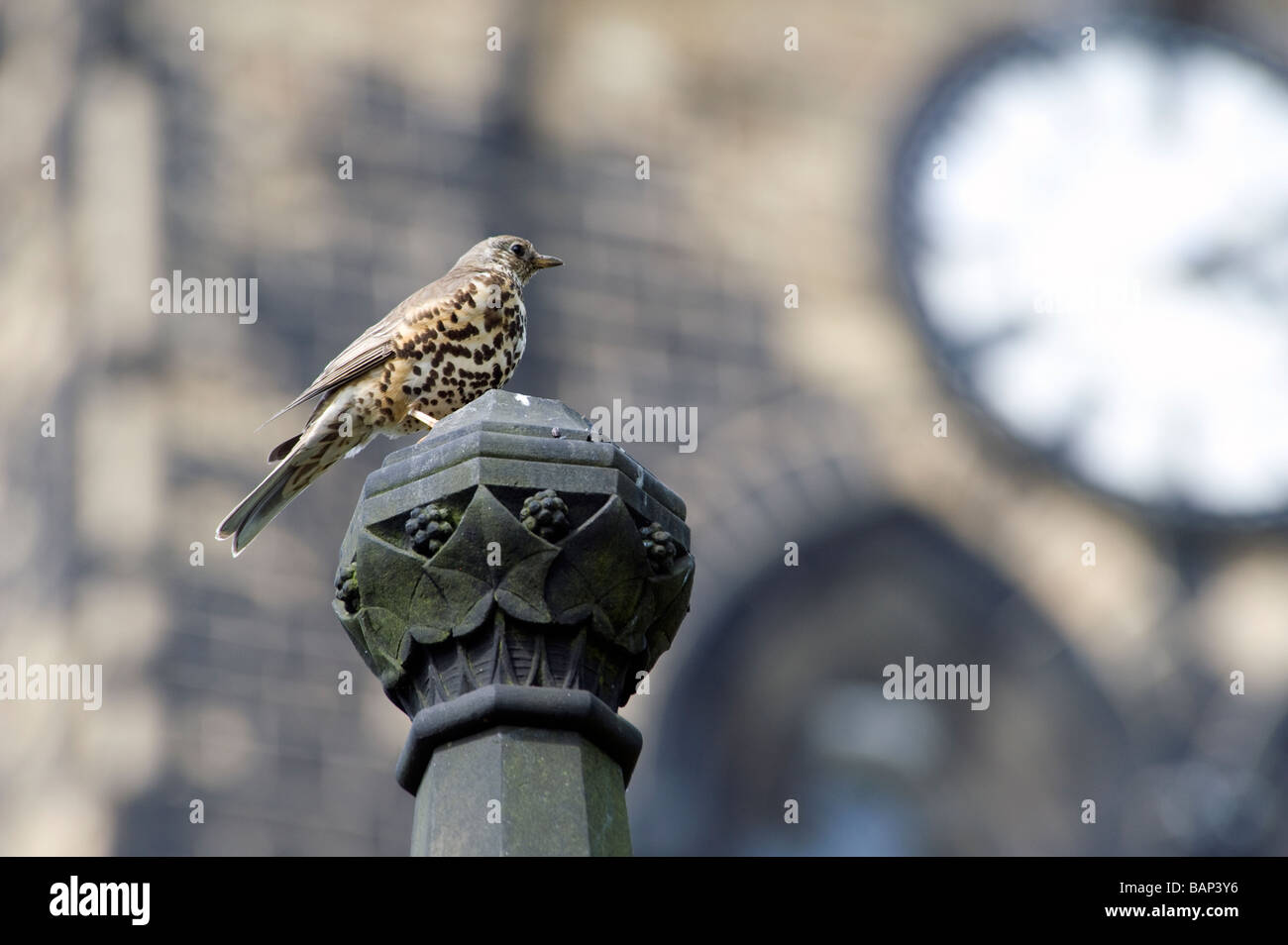 Rotherham clock hi-res stock photography and images - Alamy