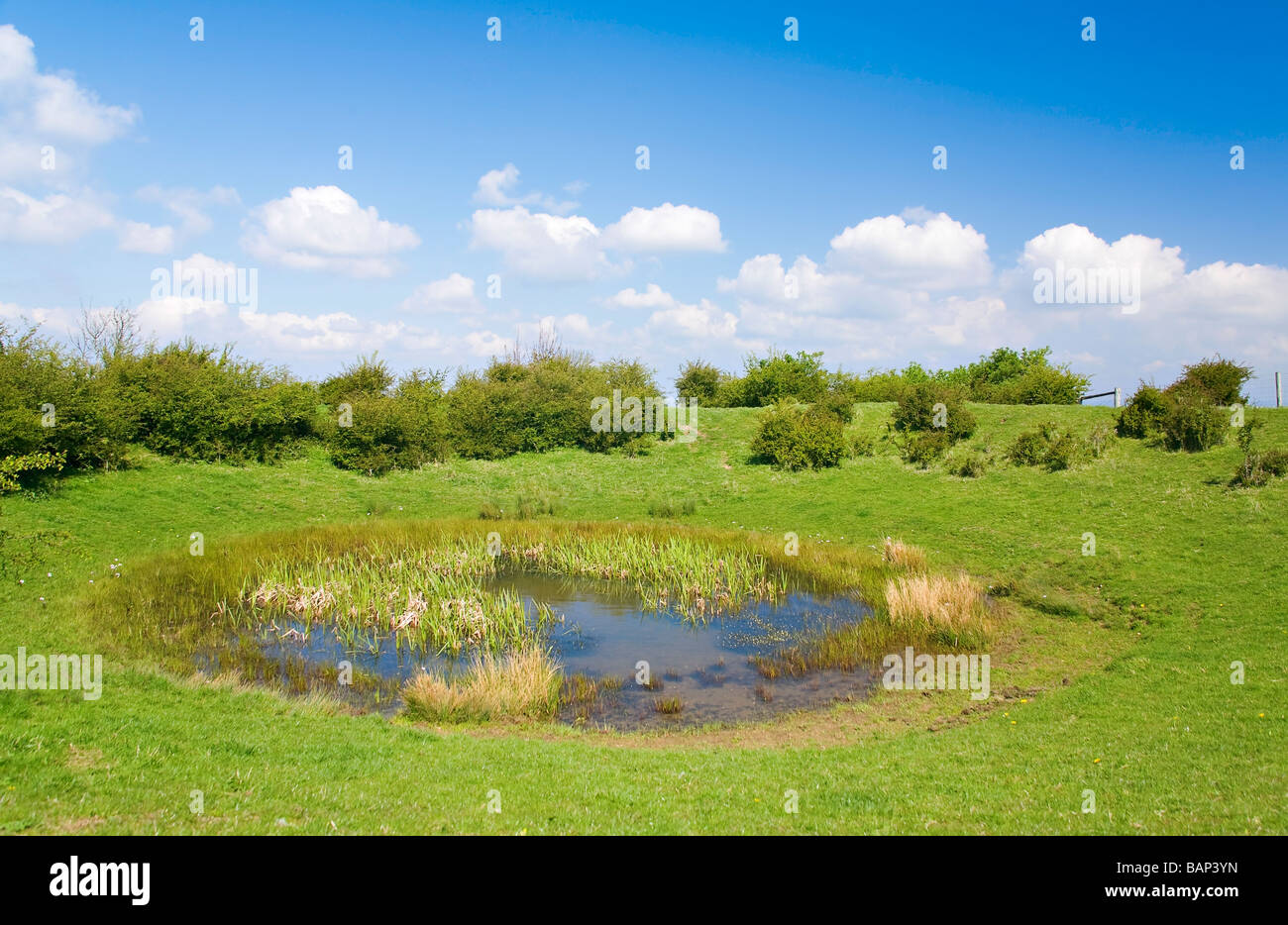 Chanctonbury dew pond hi-res stock photography and images - Alamy