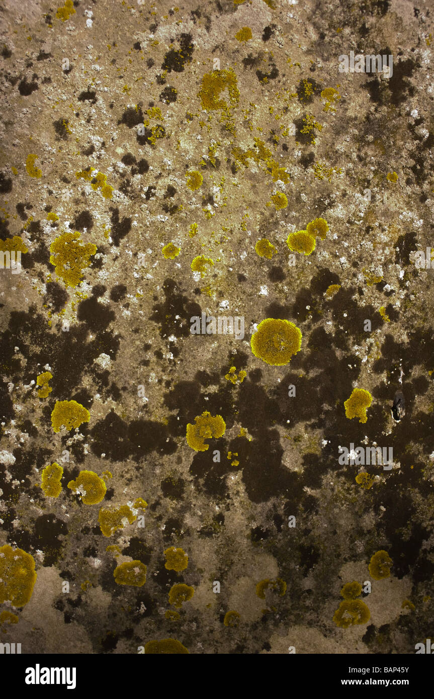 Holy Trinity Bosham Stock Photo - Alamy