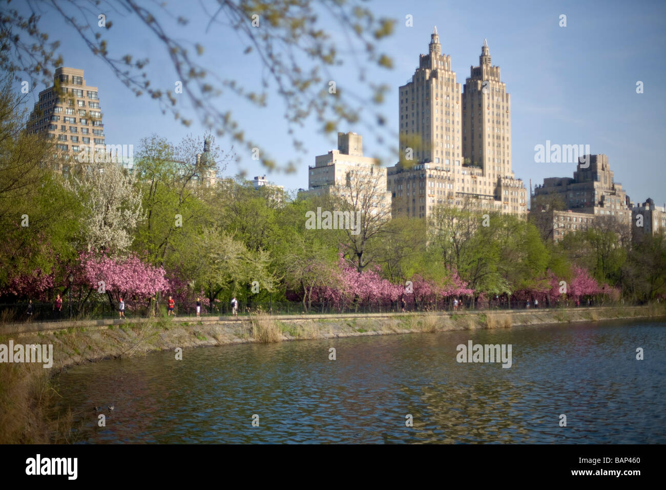 Central park trees and flowers hi-res stock photography and images - Alamy