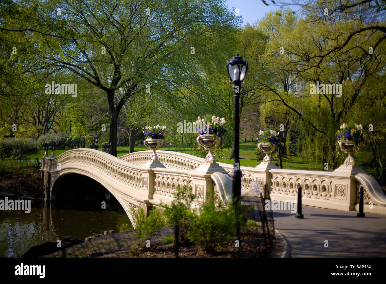 Central park spring flower hi-res stock photography and images - Alamy