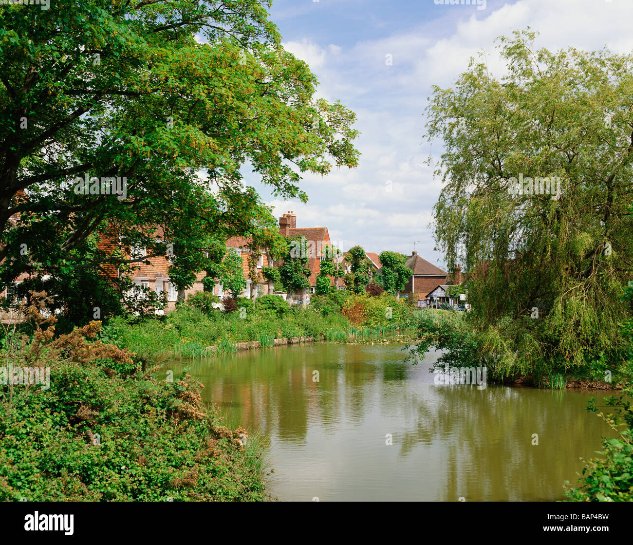 Matfield hi-res stock photography and images - Alamy