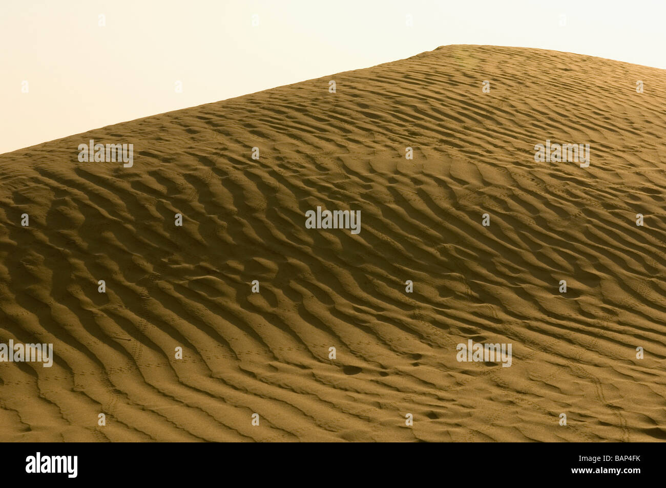 Rippled pattern on a sand dune, Jaisalmer, Rajasthan, India Stock Photo ...