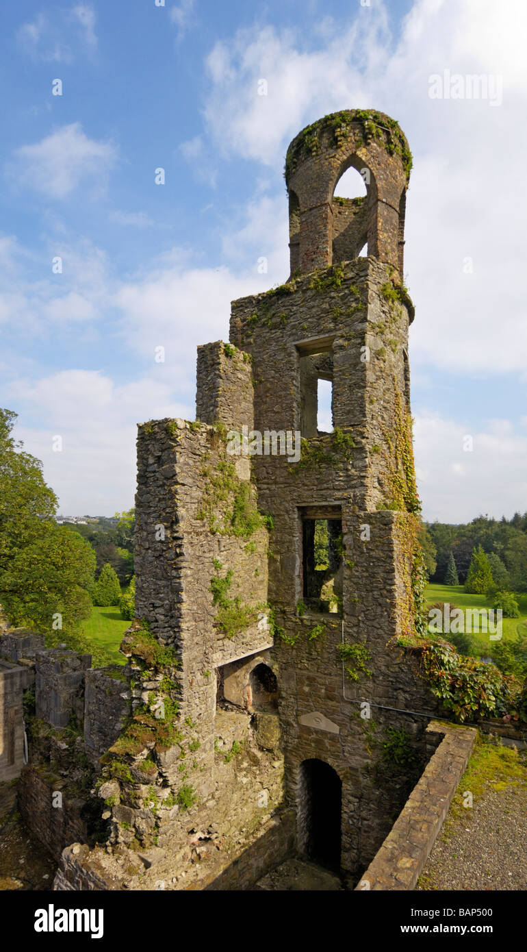 Blarney Castle lookout tower Stock Photo - Alamy
