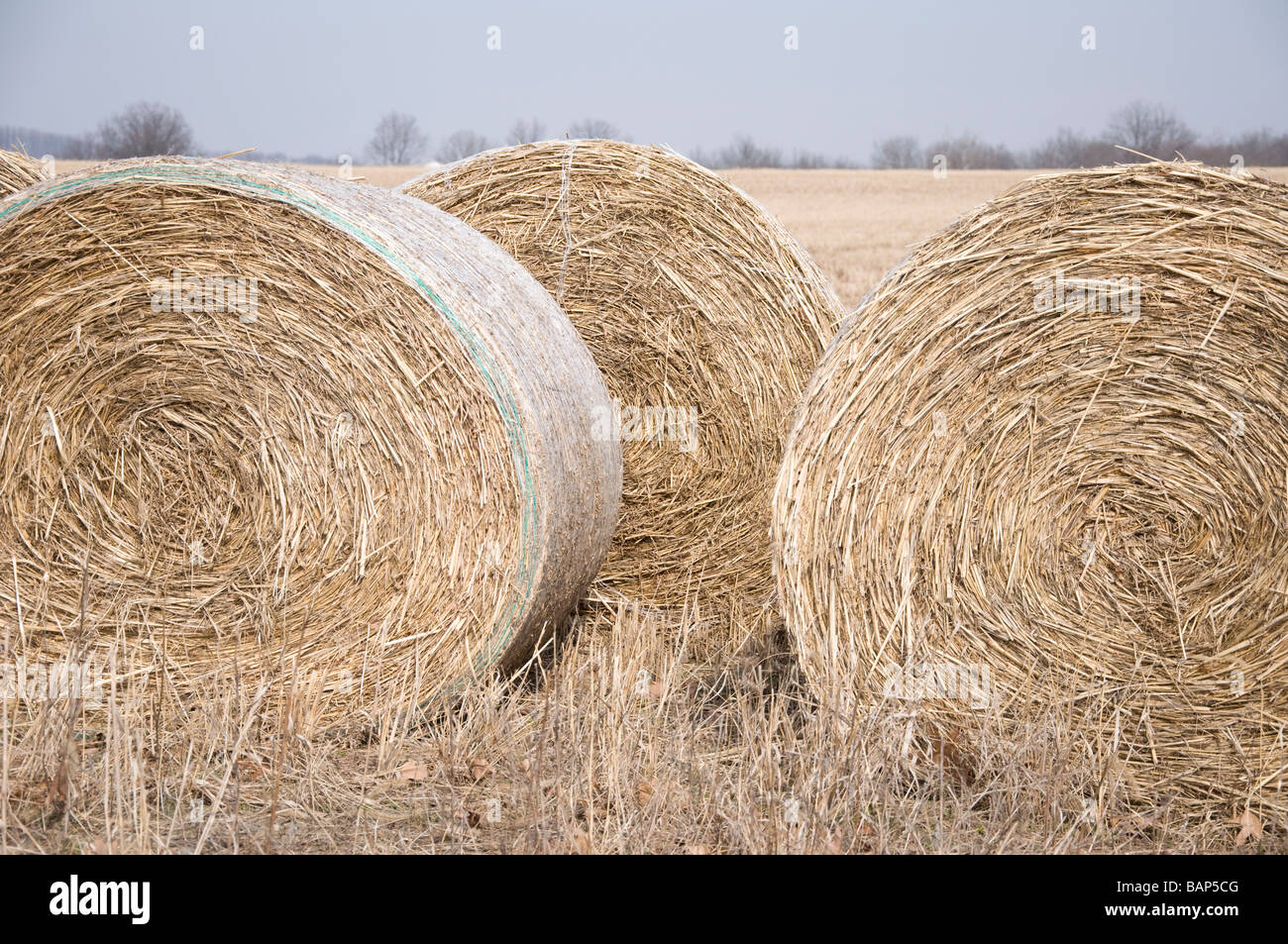 Hay rolls in an empty farmers field in the winter Stock Photo - Alamy