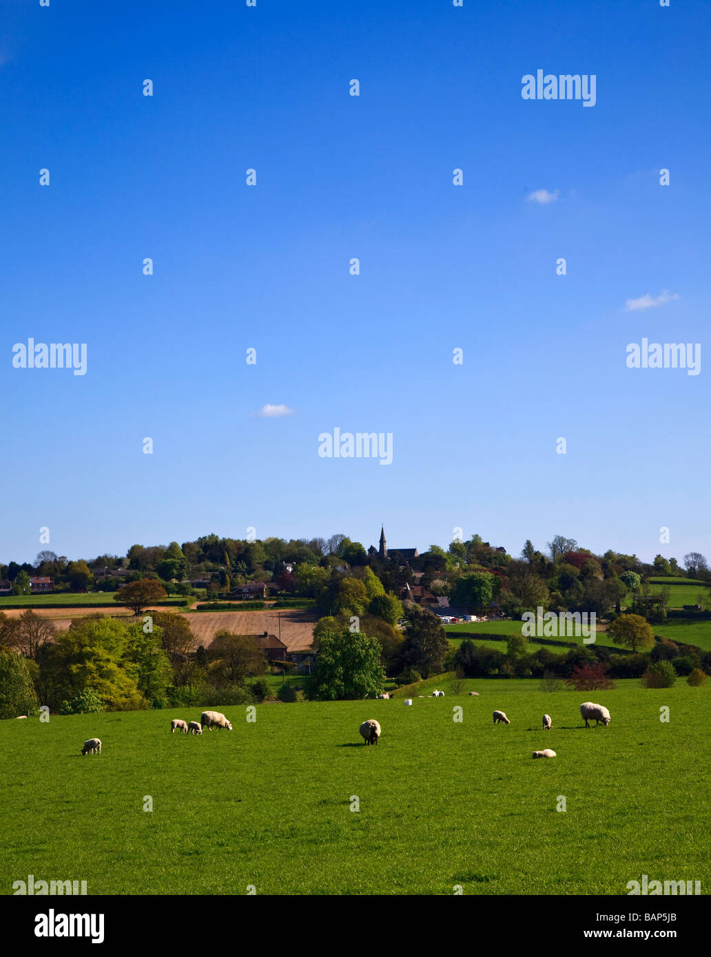 Ide church kent hi-res stock photography and images - Alamy