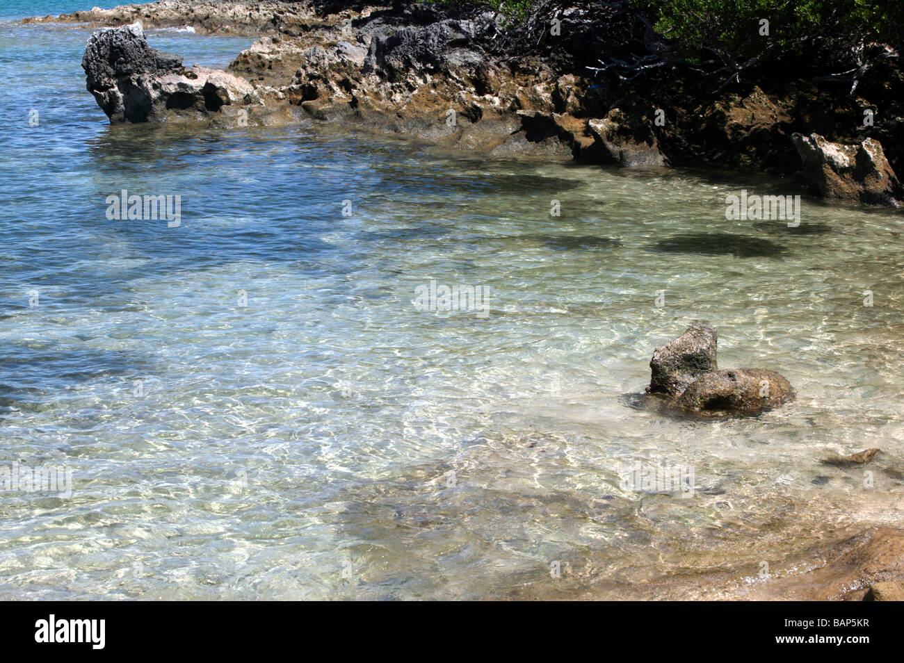 Little head park bermuda hi-res stock photography and images - Alamy