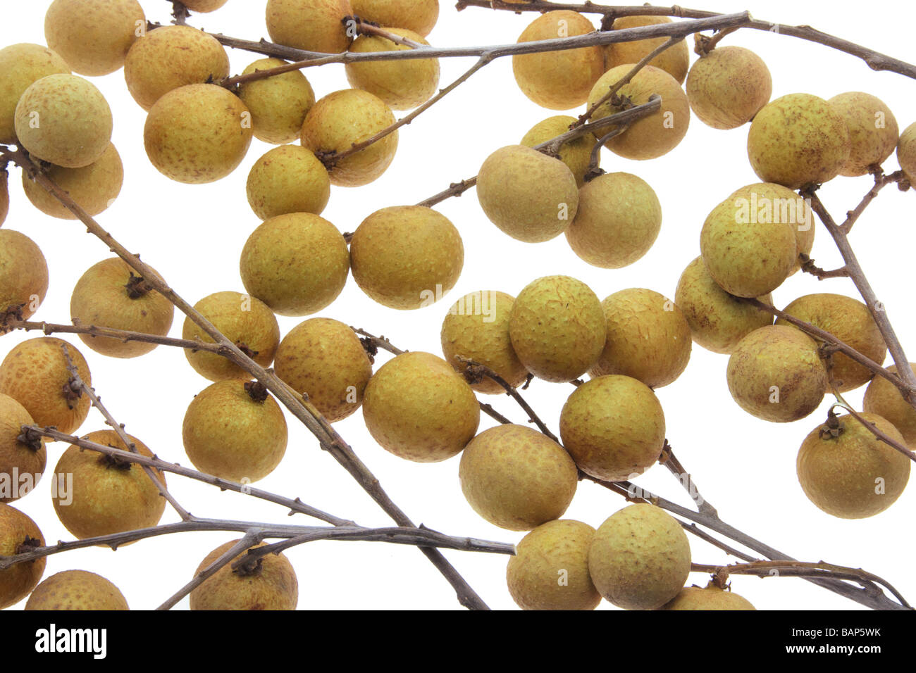 Chinese longans hi-res stock photography and images - Alamy