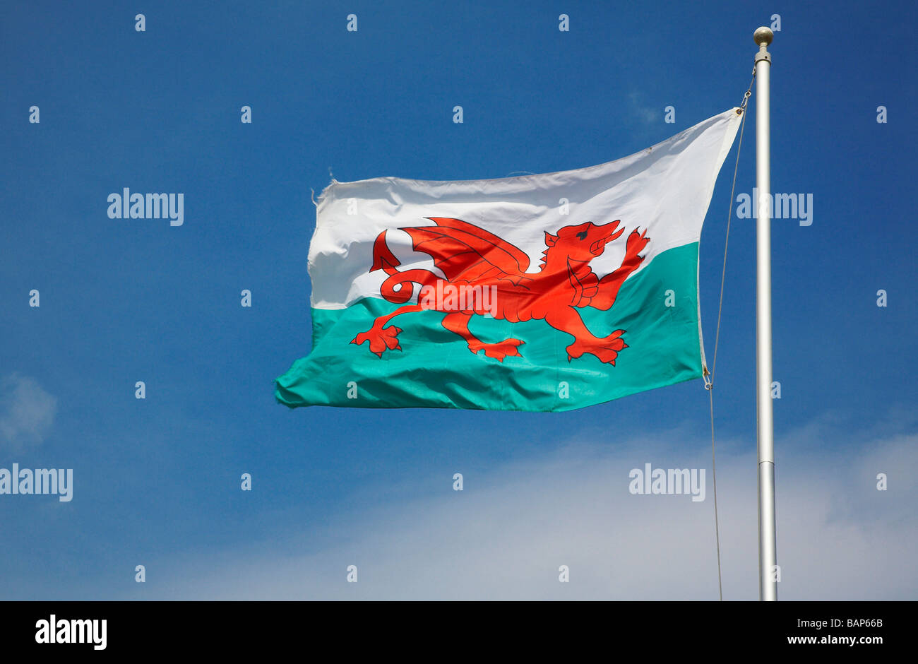 Welsh flag hi-res stock photography and images - Alamy