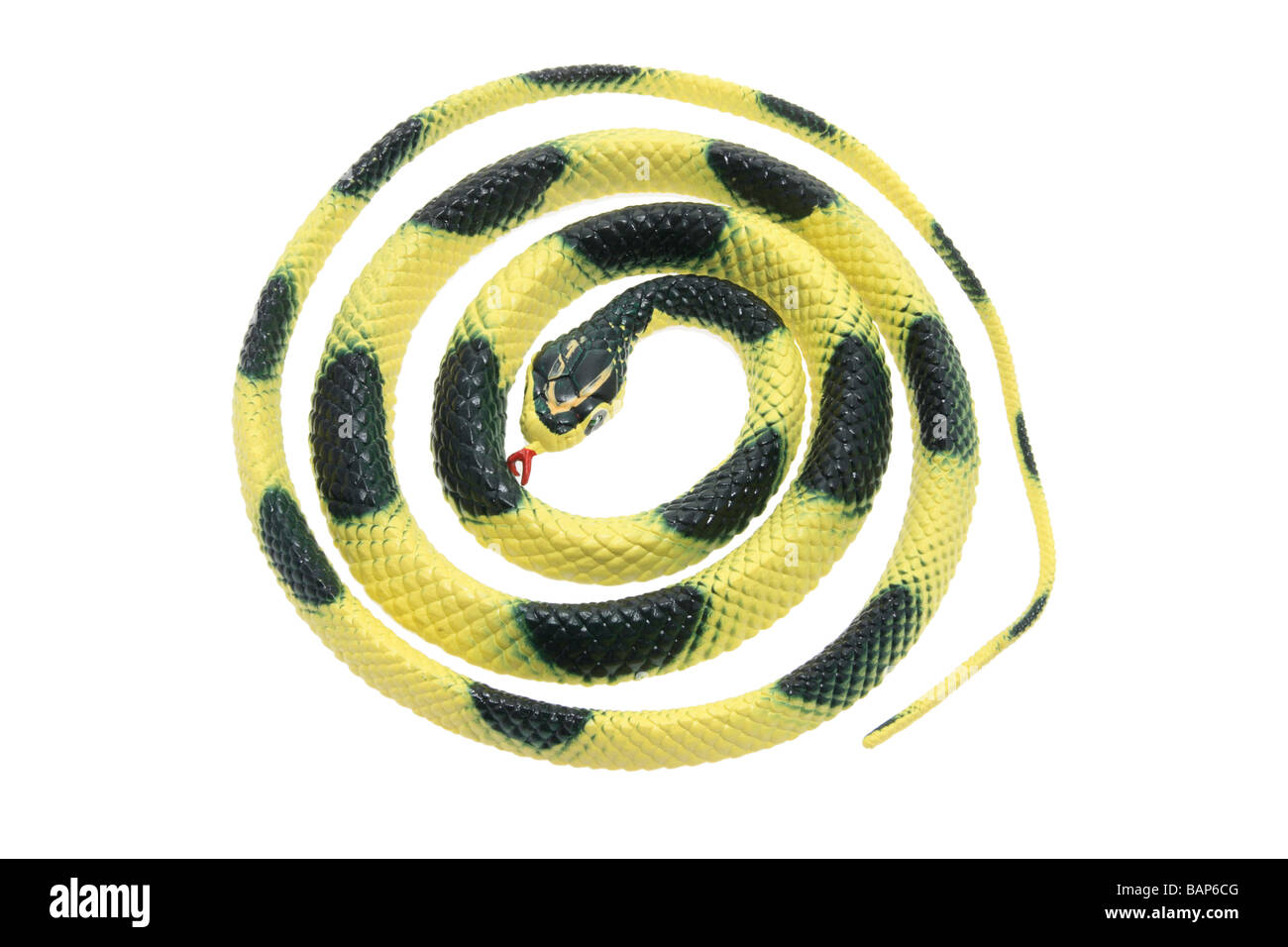 Snake Cut Out Stock Images & Pictures - Alamy