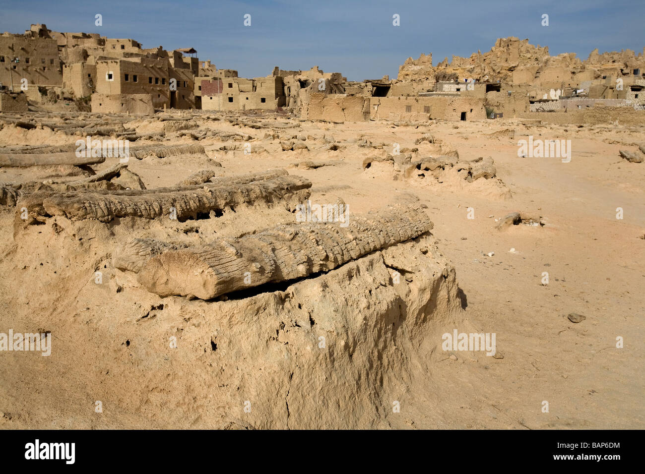 Siwan hi-res stock photography and images - Alamy