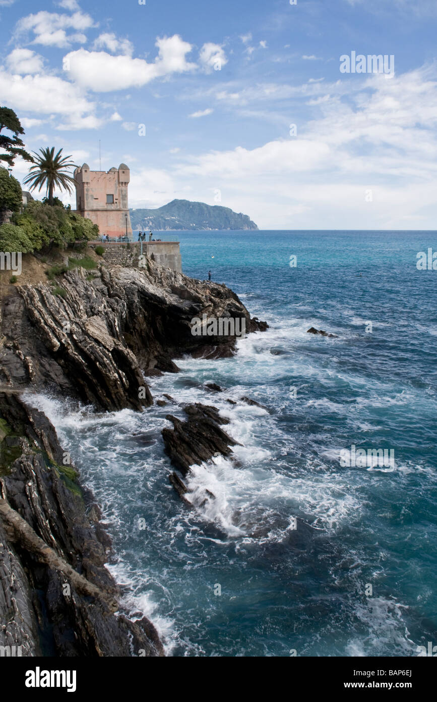 Nature nerves hi-res stock photography and images - Alamy