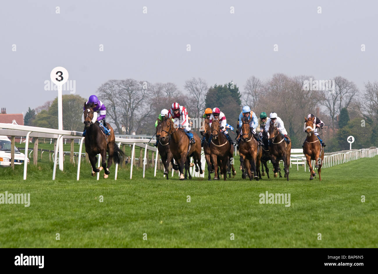Throroughbred horse racing on Beverley Westwood, East Yorkshire Stock ...