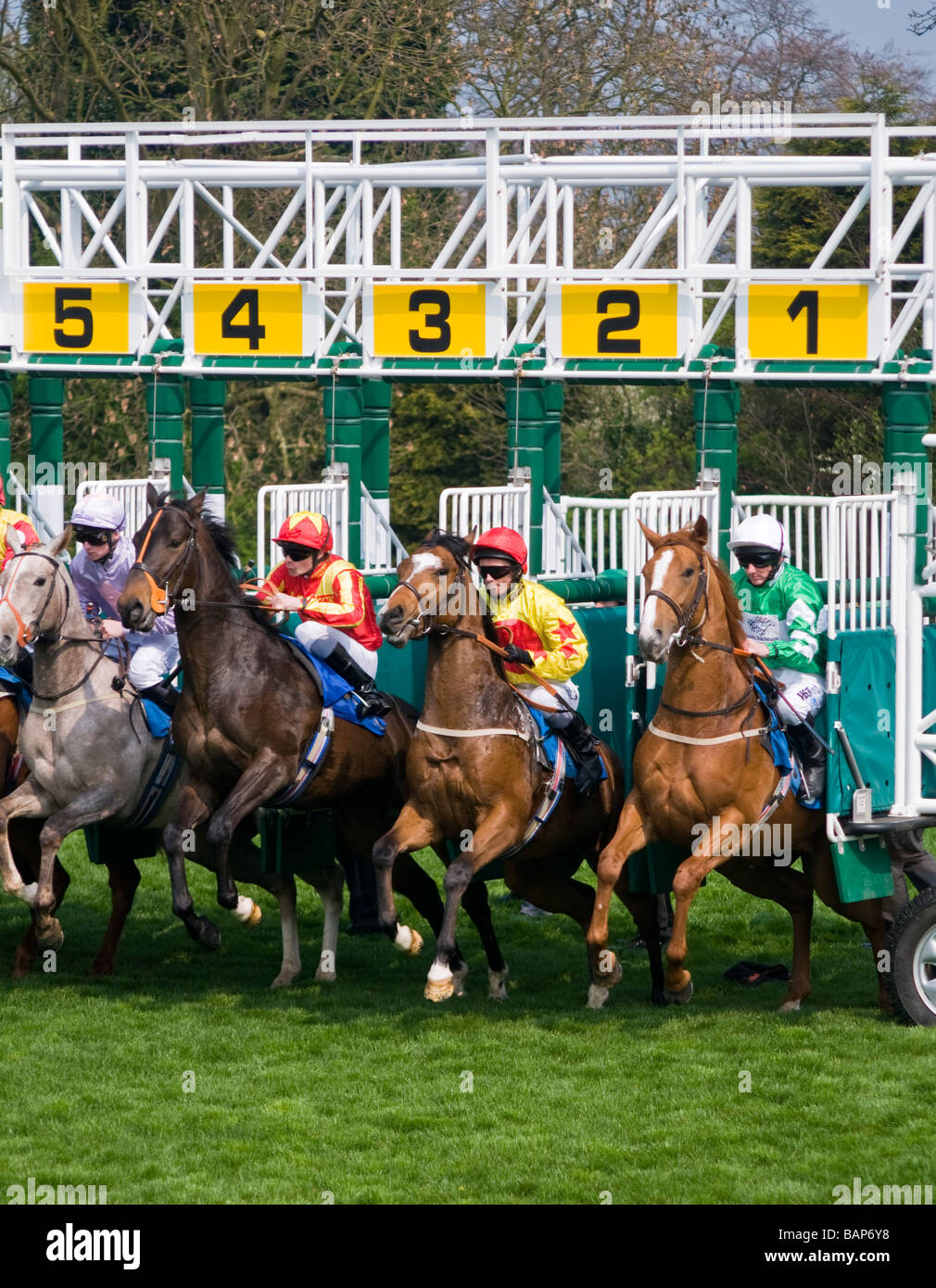 Bookies board hi-res stock photography and images - Alamy