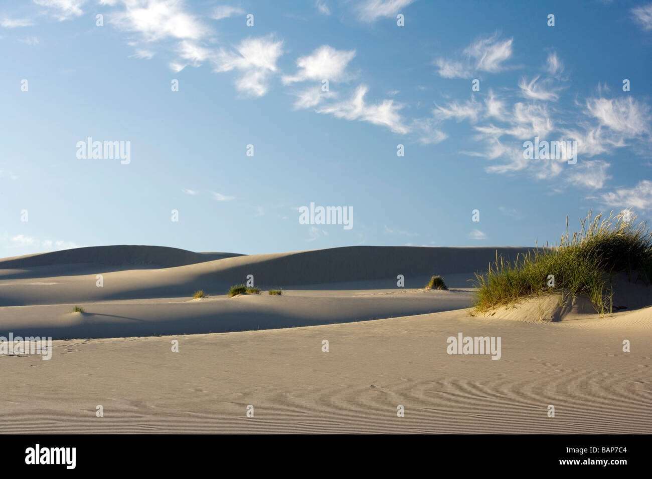Sand Dunes - Oregon Dunes National Recreation Area - Reedsport, Oregon ...
