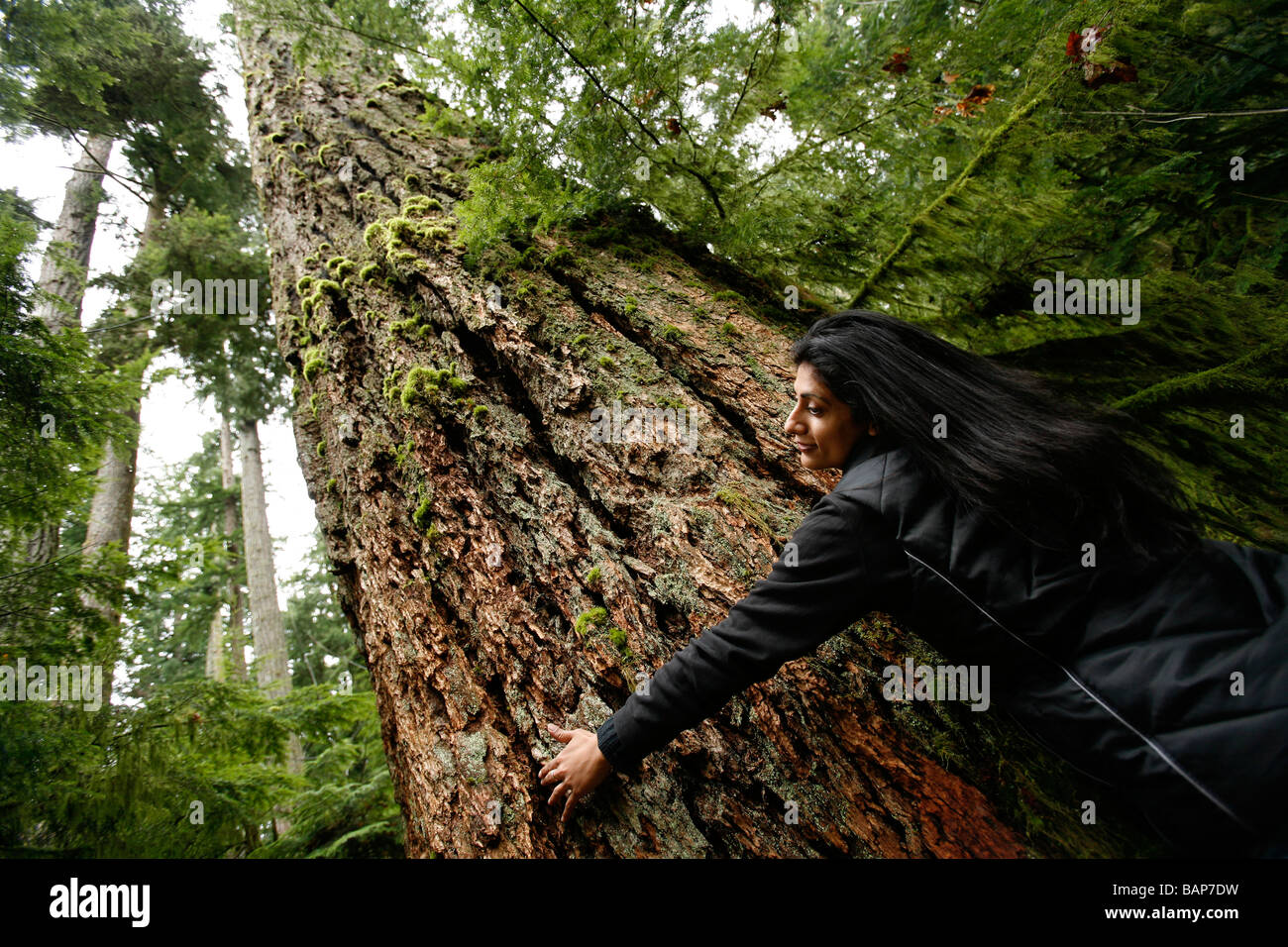 Protecting canada rainforest hi-res stock photography and images - Alamy