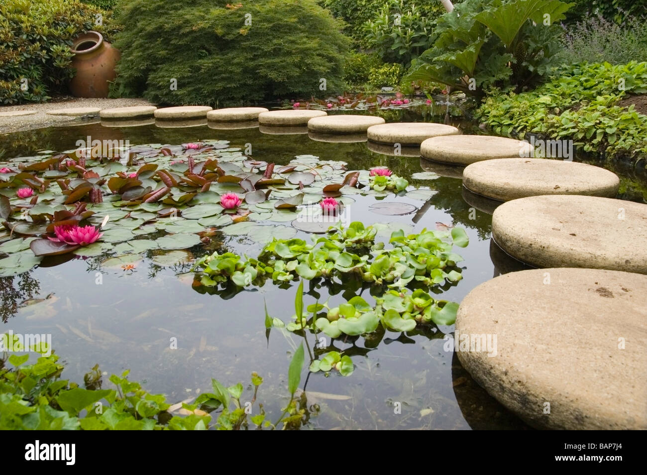 Garden - stones over water Stock Photo - Alamy